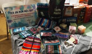 Fiesta de las entidades sociales en Tortosa – Misevi España ...